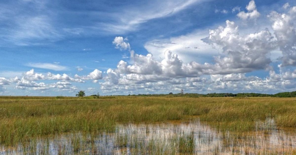 Everglades clean up threatened by Climate Change · The Floridian