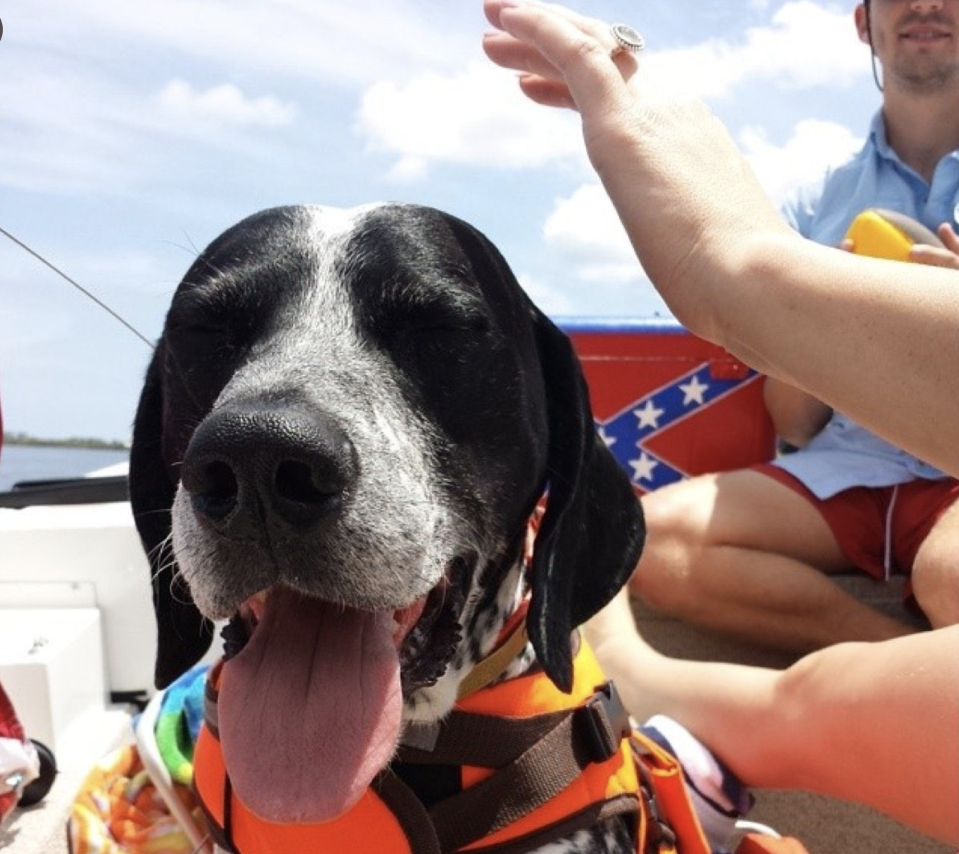 Rick Wilson, the Democratic Party's Confederate Flag Guy · The Floridian